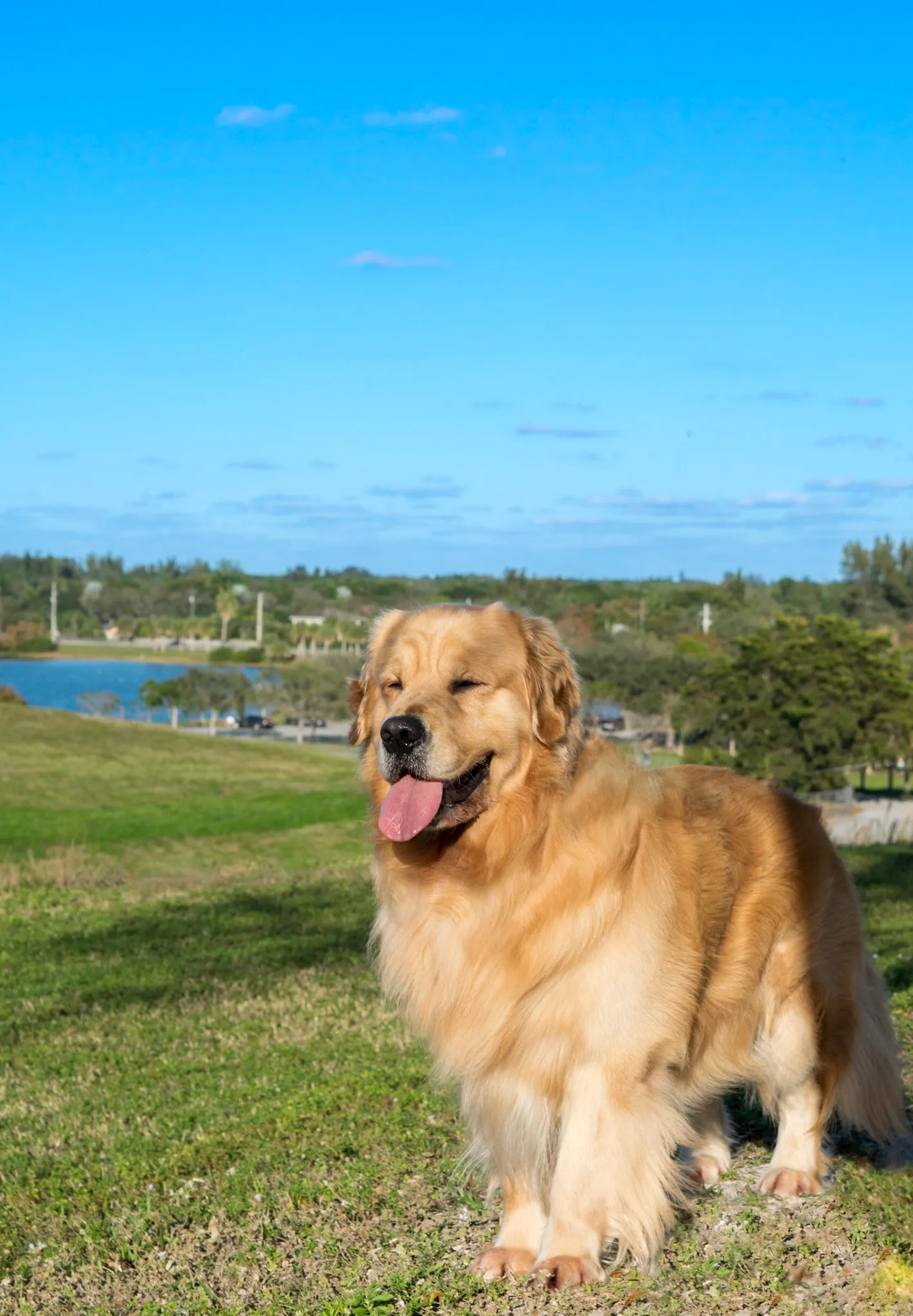 Adrian Osorio B | Software Engineer & Researcher